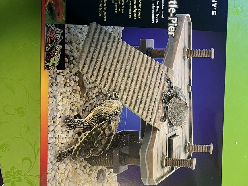 Черепашья подставка