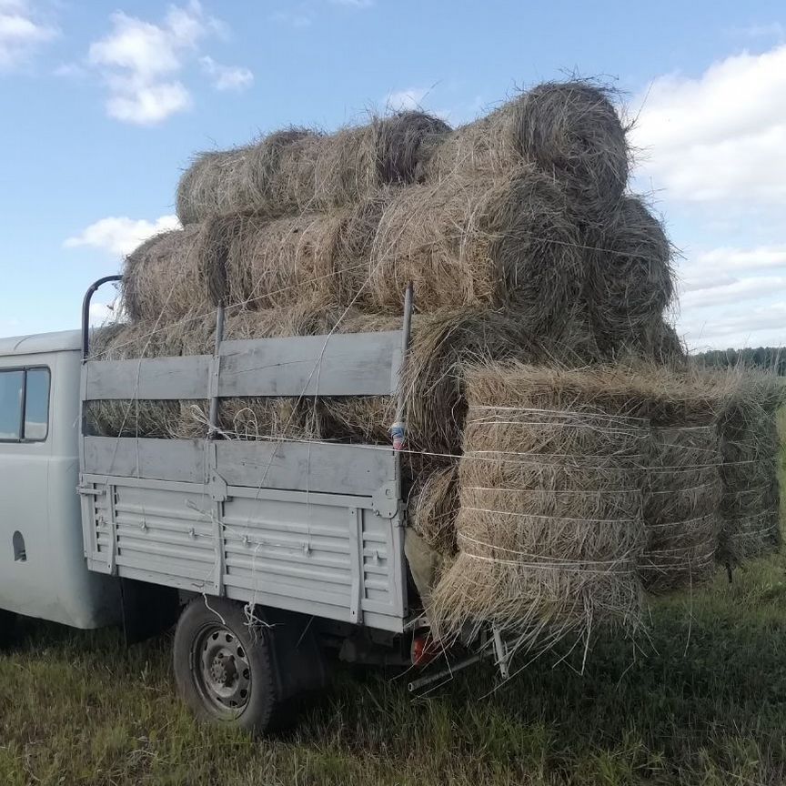 Сено в рулонах
