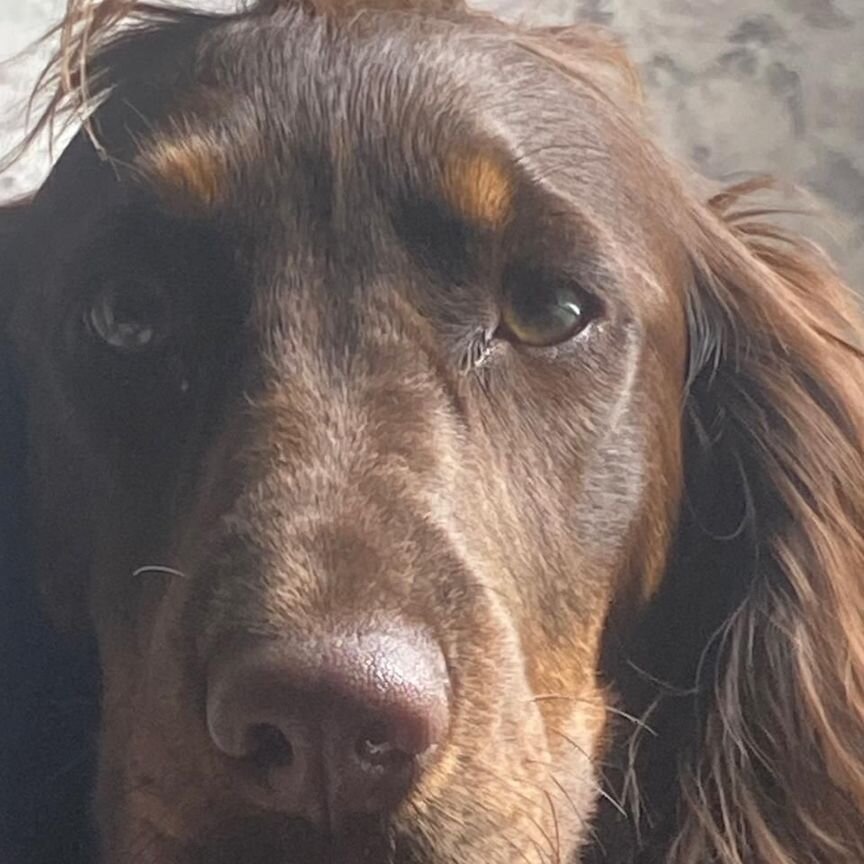 Ищем жениха