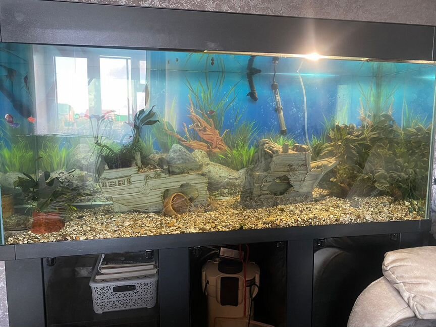 Аквариум с тумбой 500 литров