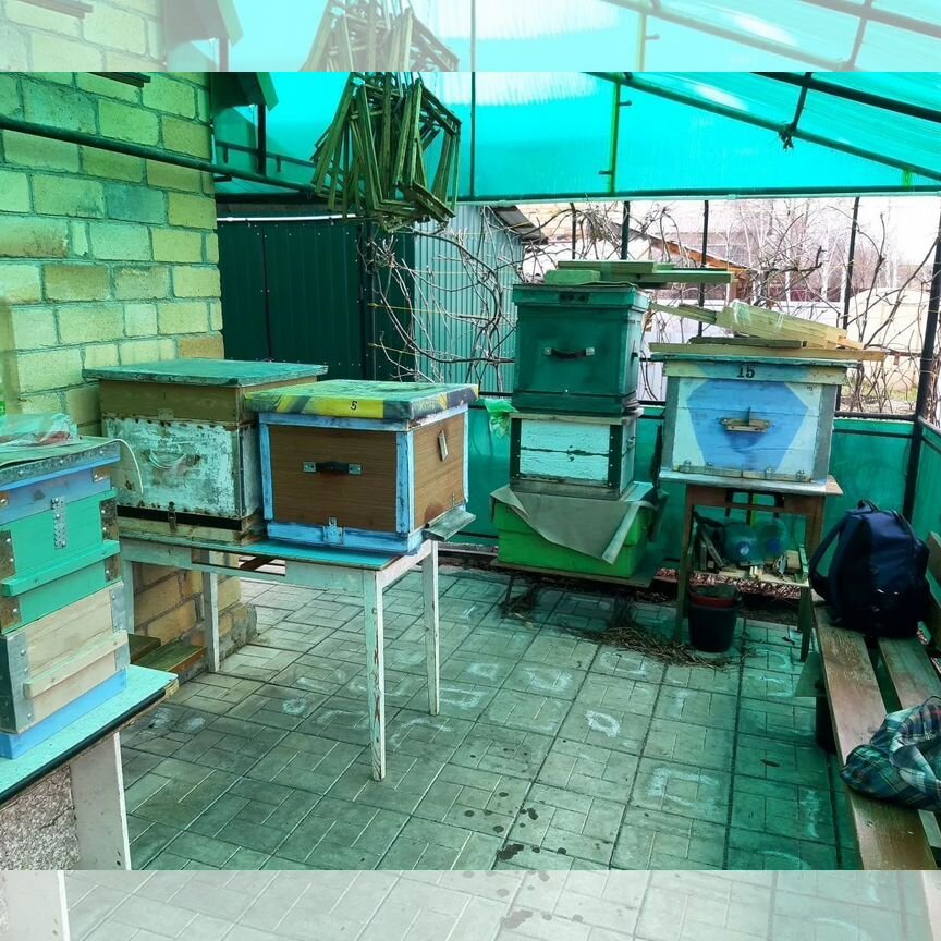 Продам пчелыные улии