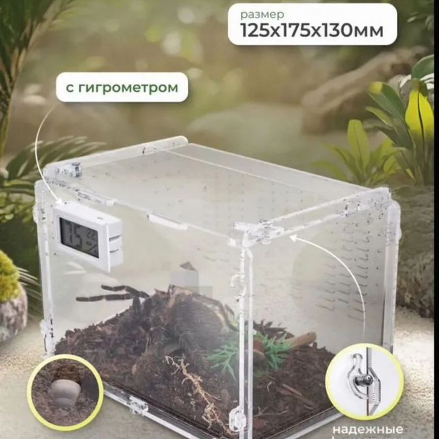 Терариум на доставку