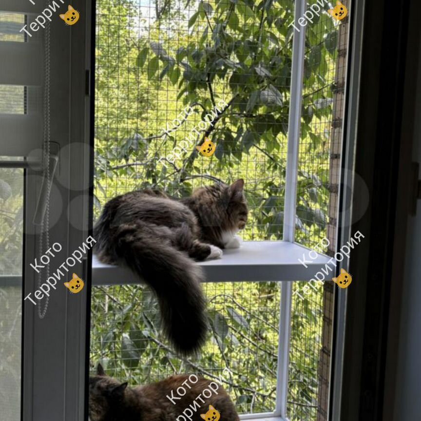 Сетка на окна антикошка