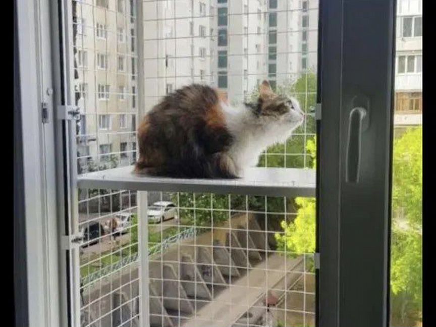 Балкончик для кошки от производителя