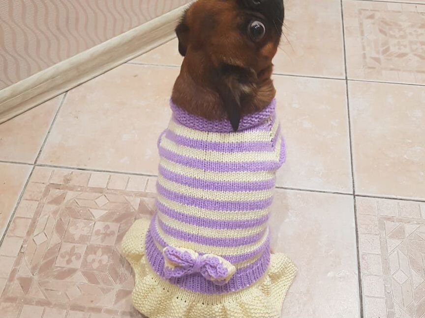 Отдам в добрые руки