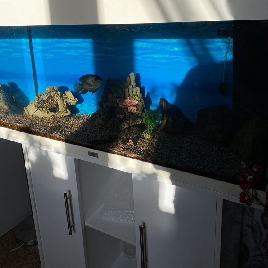 Аквариум с тумбой juwel 180 литров