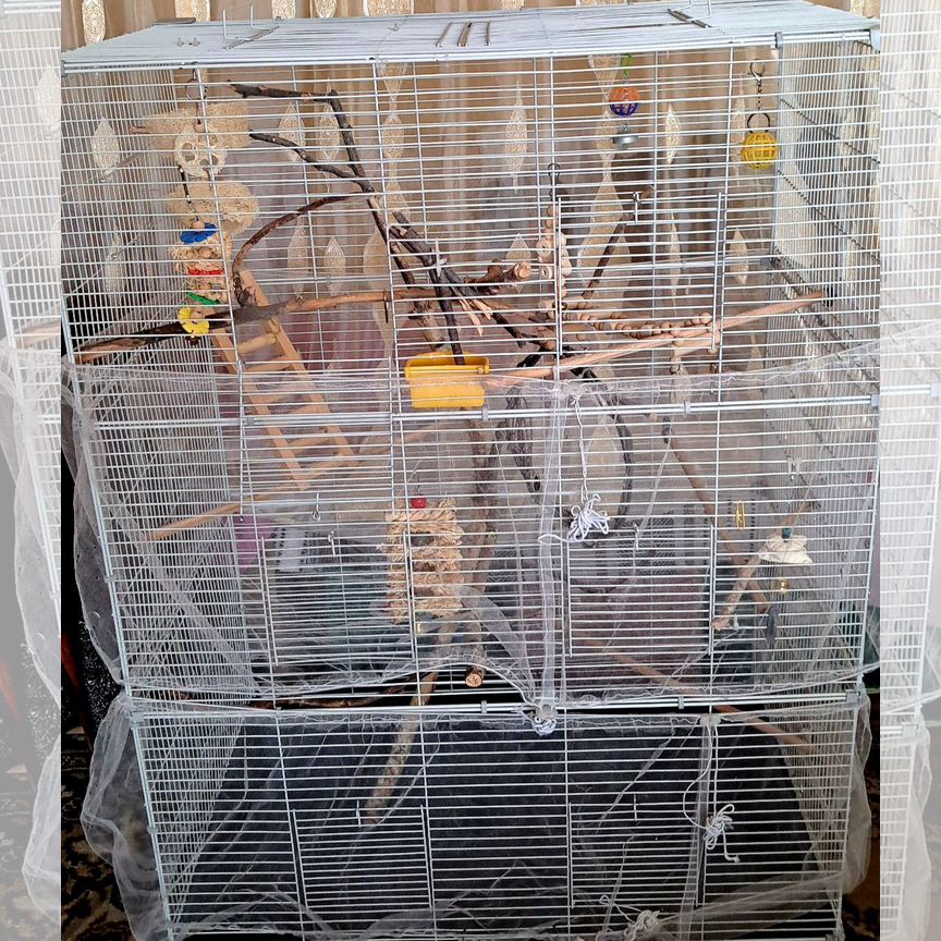 Вольер для птиц большой