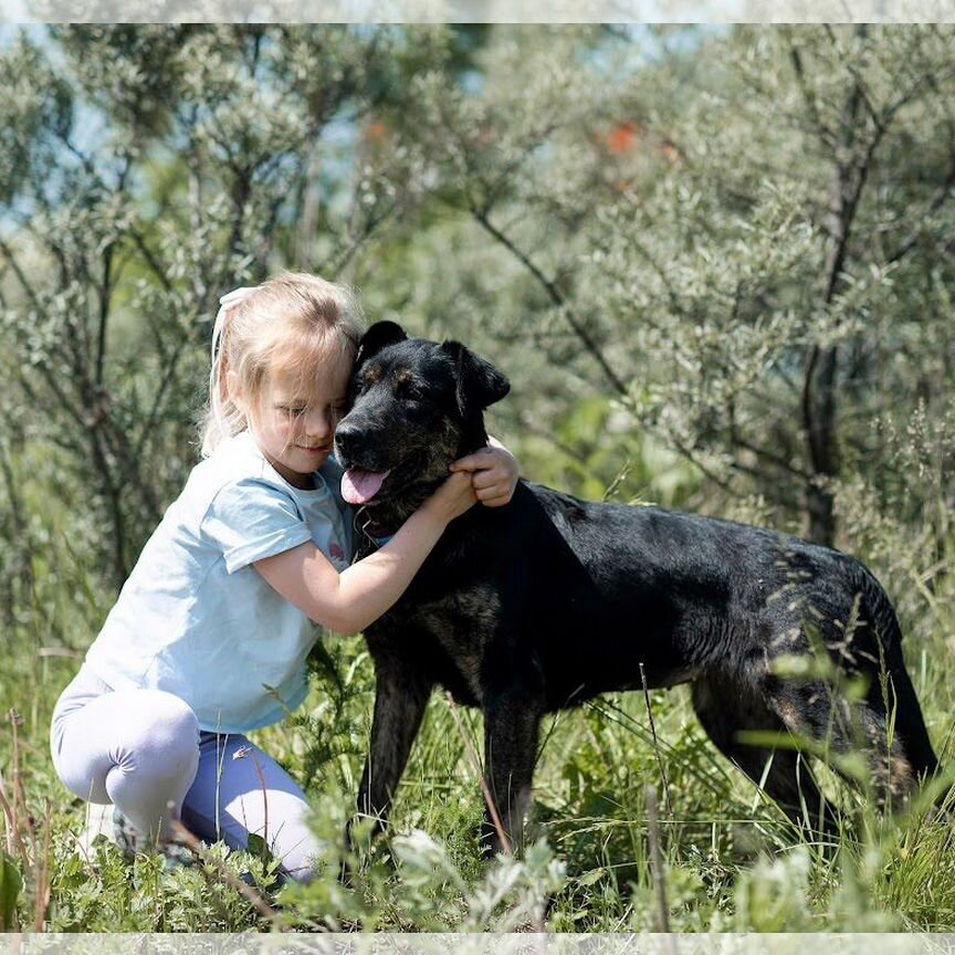 Добрая Лиза из приюта бесплатно в добрые руки