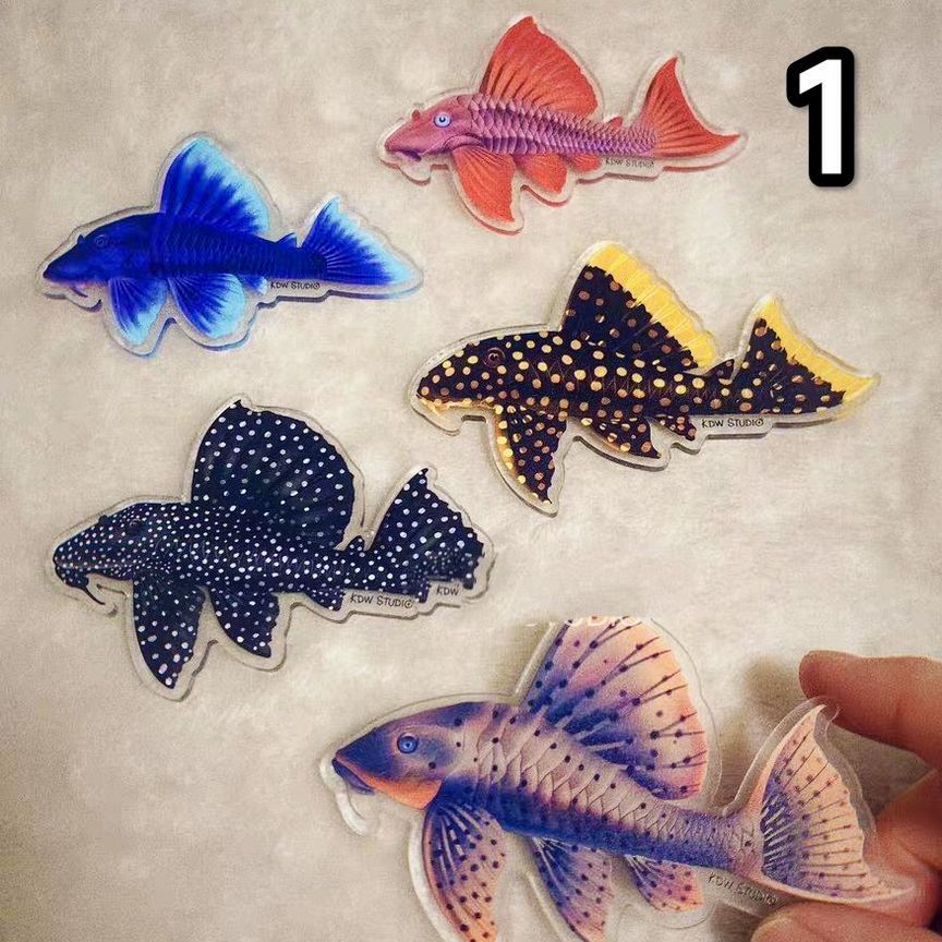 Декоративные рыбки