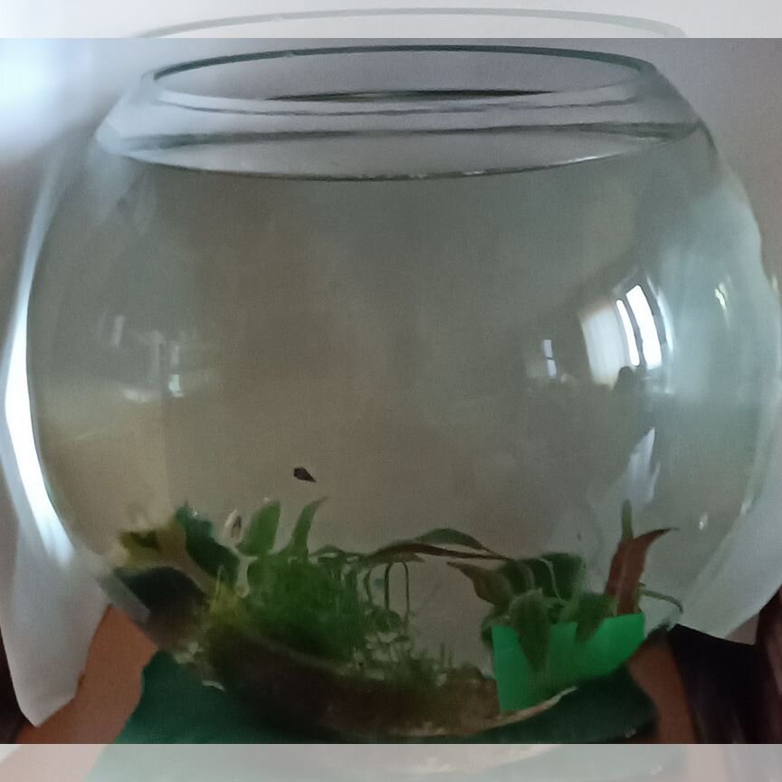 Аквариум, фильтр, сифон и нагреватель