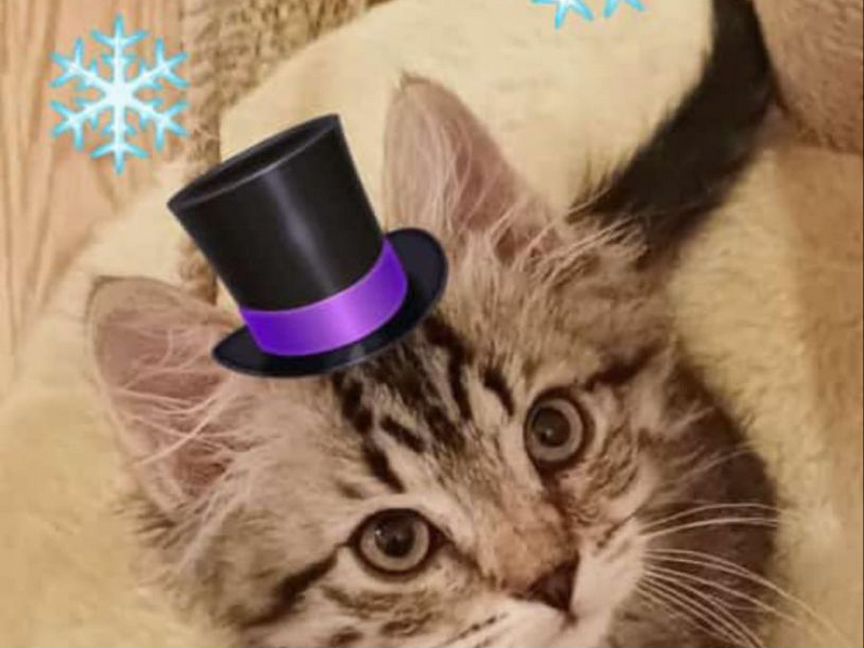 Очаровательный парень