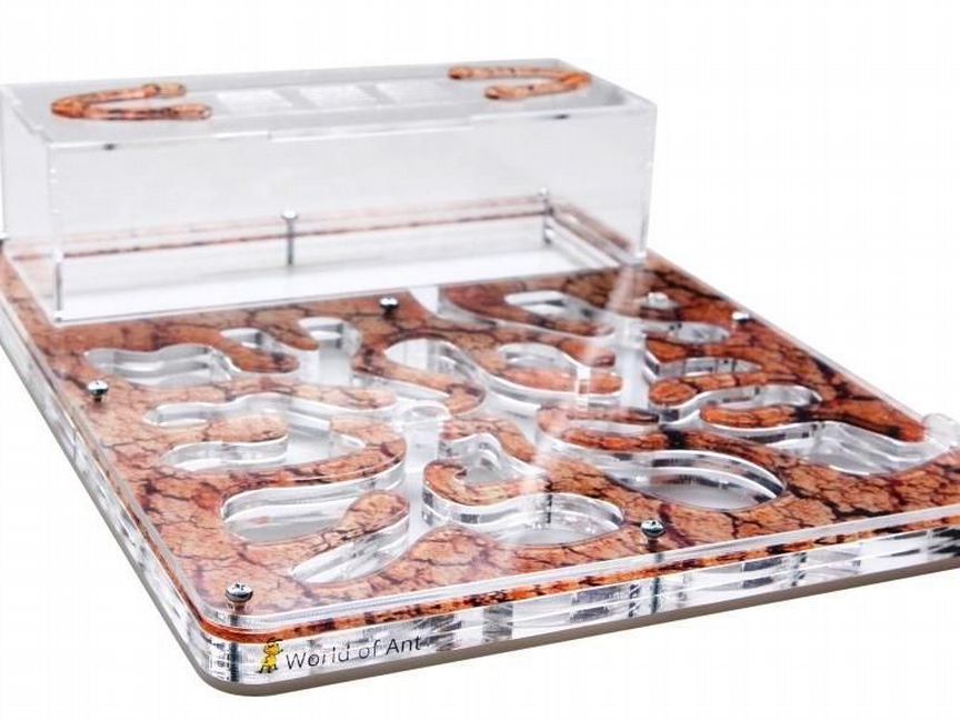 Муравьиная ферма (формикарий) "Атакама"