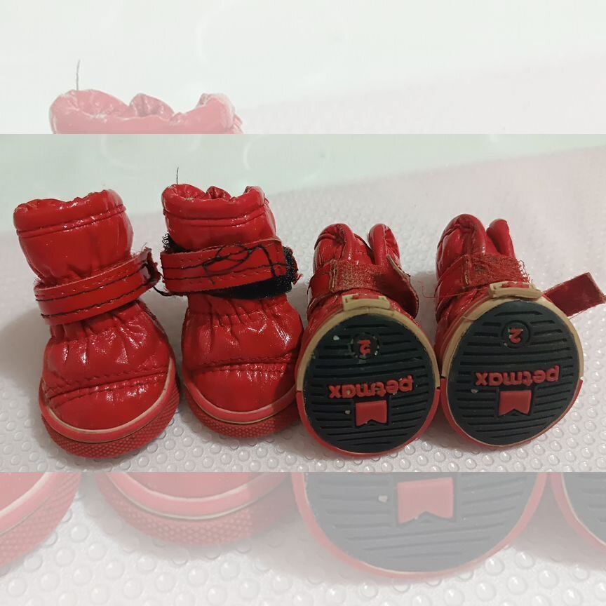 Обувь для маленьких собак