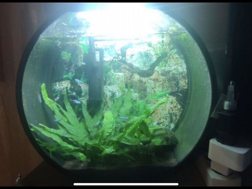 Аквариум deco 20л