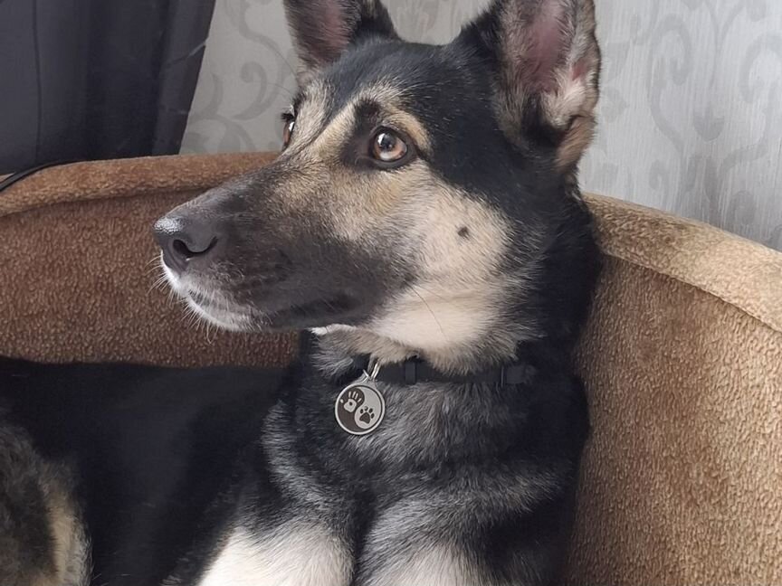 Очаровательная Эмма ждёт семью