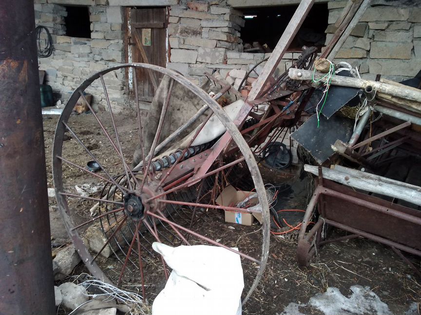 Товары для животных