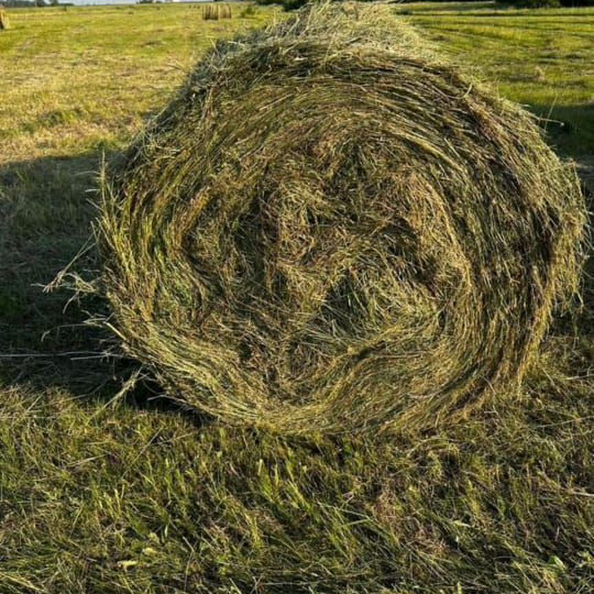 Сено в рулона с доставкой