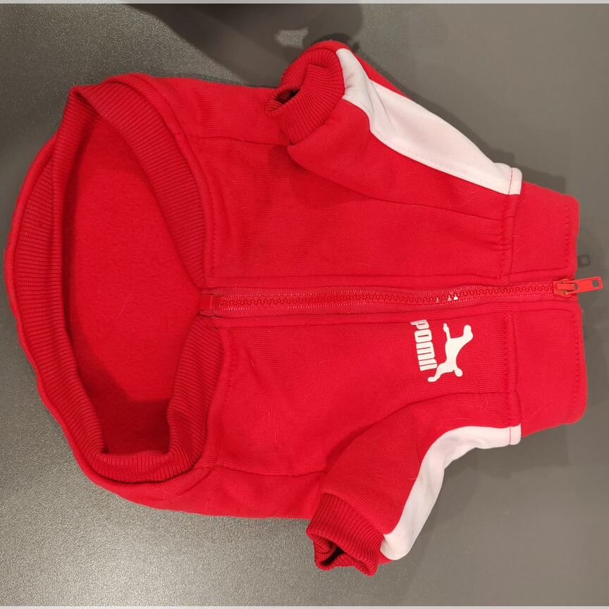 Кофта на небольшую собачку