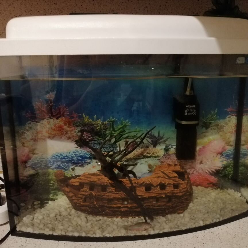 Аквариум полный комплект