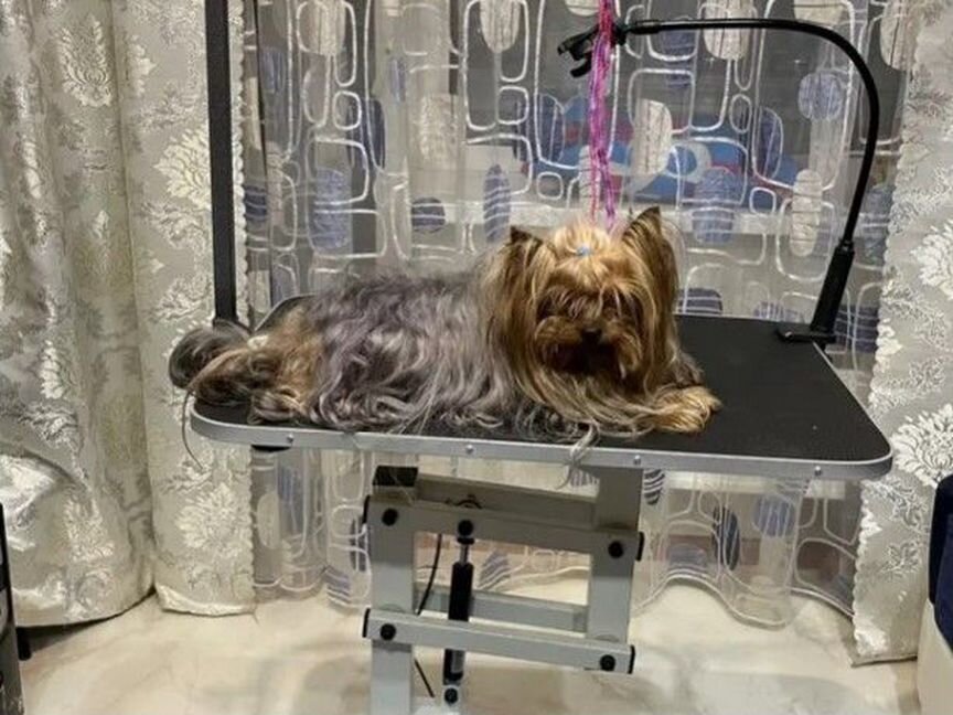 Стол для груминга wikigroom S4 (70*50см)