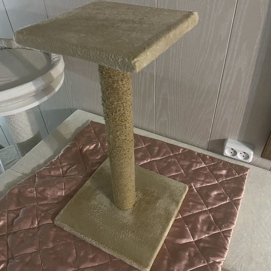 Когтеточка