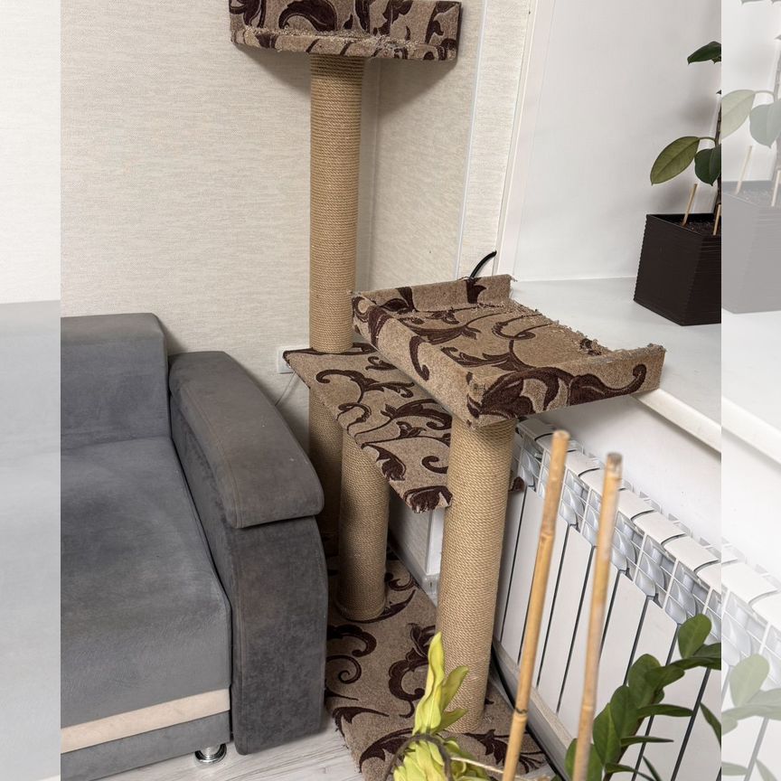 Когтеточка, лежанка для кошки