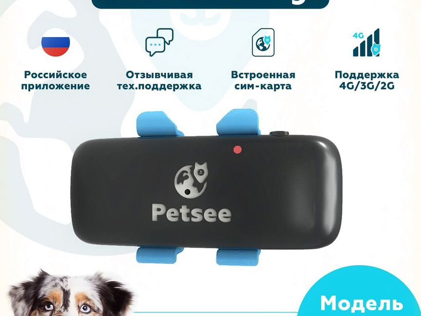 Gps ошейник для охотничьей собаки