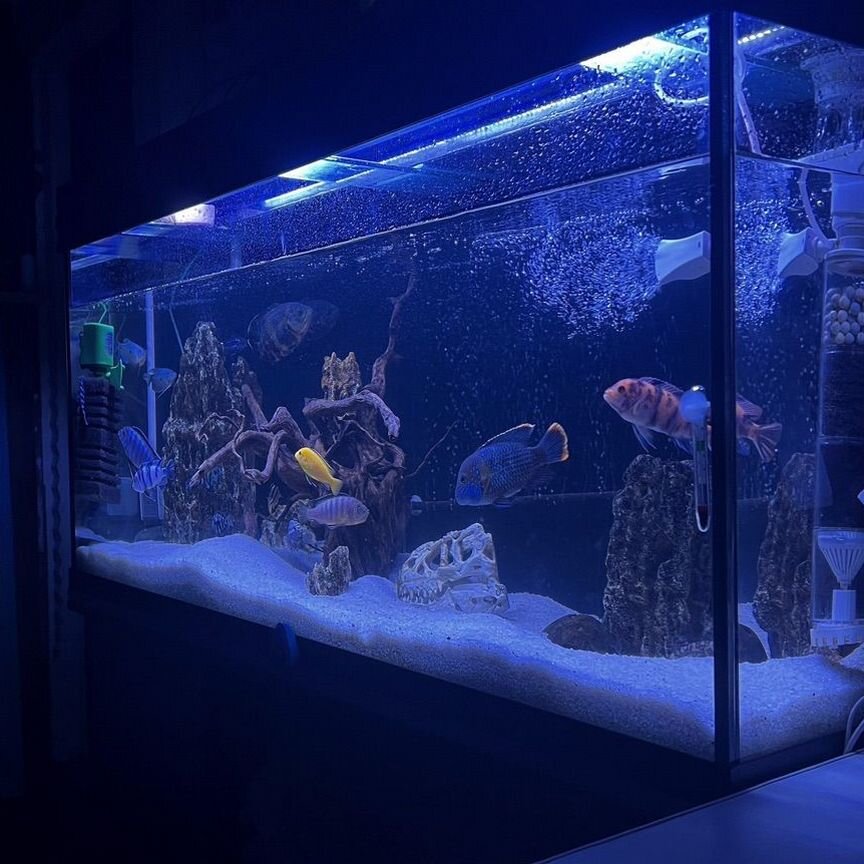 Аквариум 350 литров с тумбой