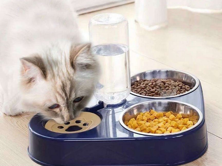 Миска
