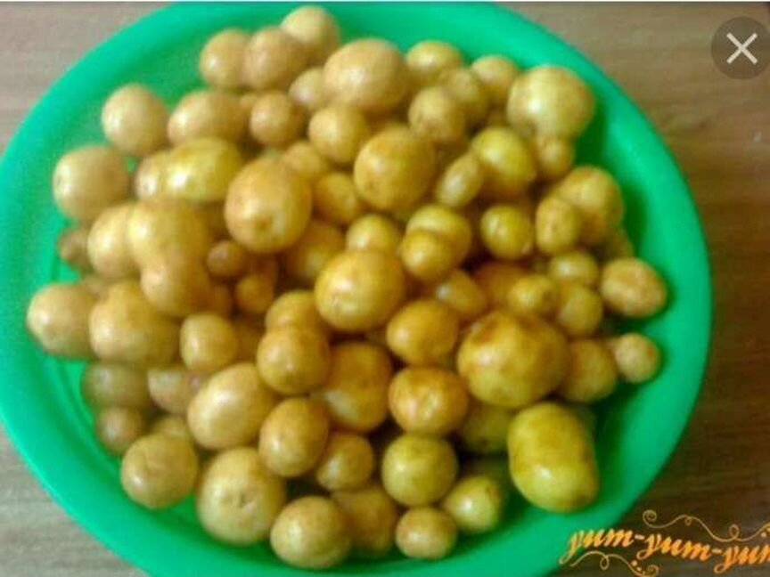 Картофель на корм скоту отдам