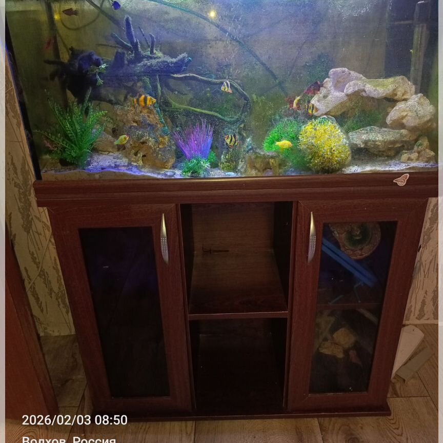Аквариум 100 л с тумбой