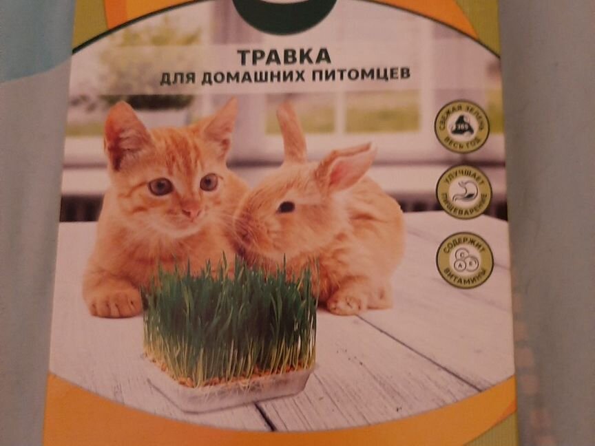 Травка для домашних питомцев