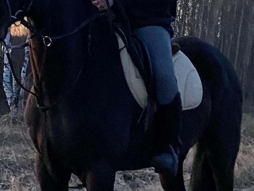 Вальтрап универсальный Imperial