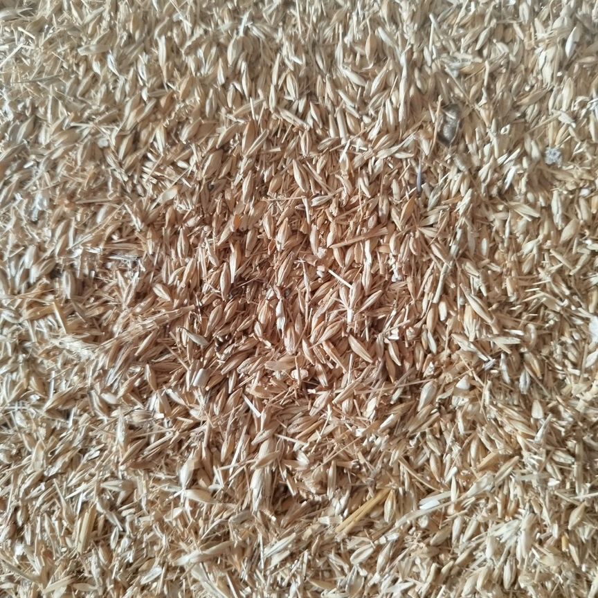 Ячменный отход