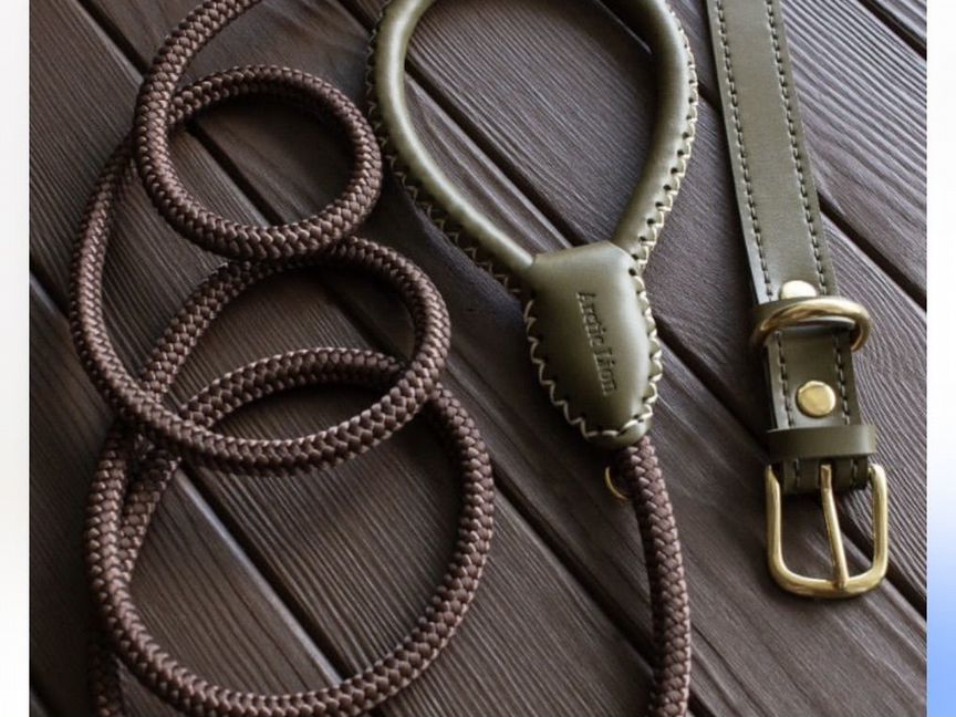 Поводок и ошейник arctic lion