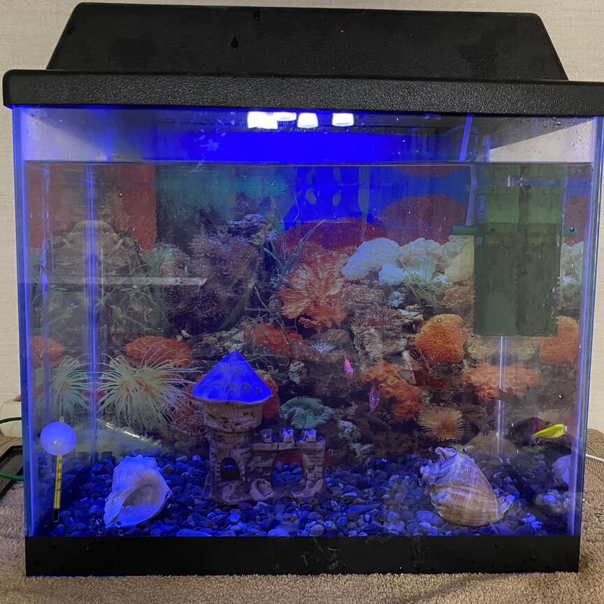 Аквариум с рыбками