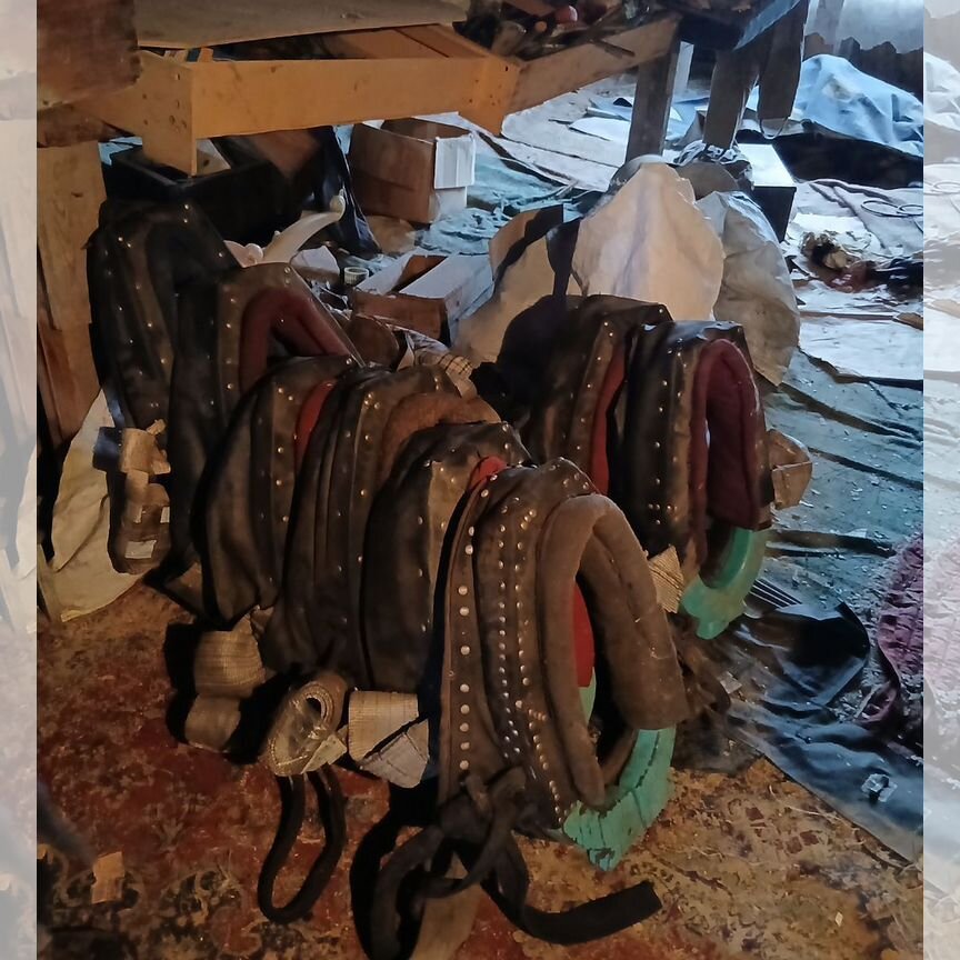 Комплект для лошади