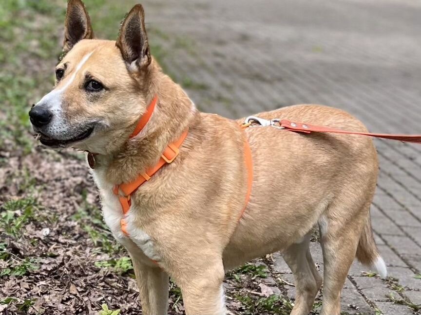 Рик в дрбрые руки