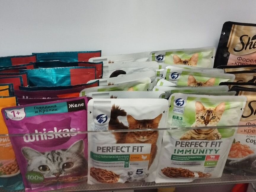 Влажный корм для кошек