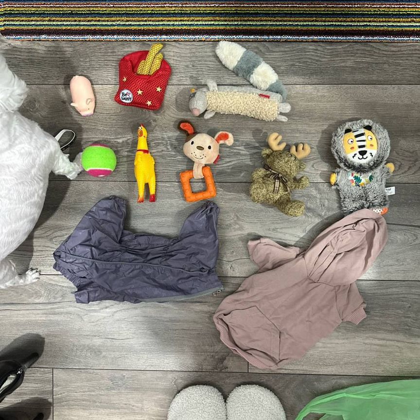 Игрушки и одежда для собачки