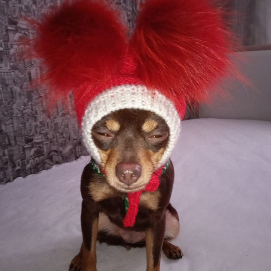 Шапочки для кошек и собак