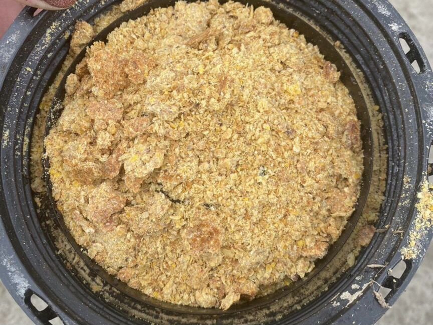 Жмых кукурузный