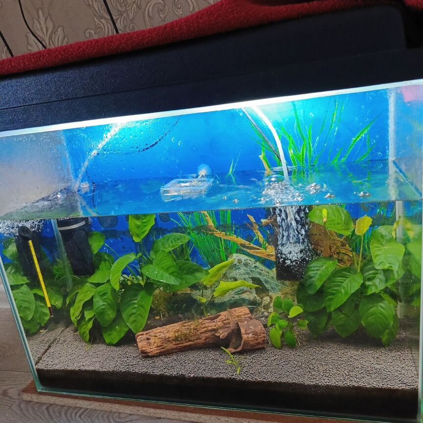 Аквариум