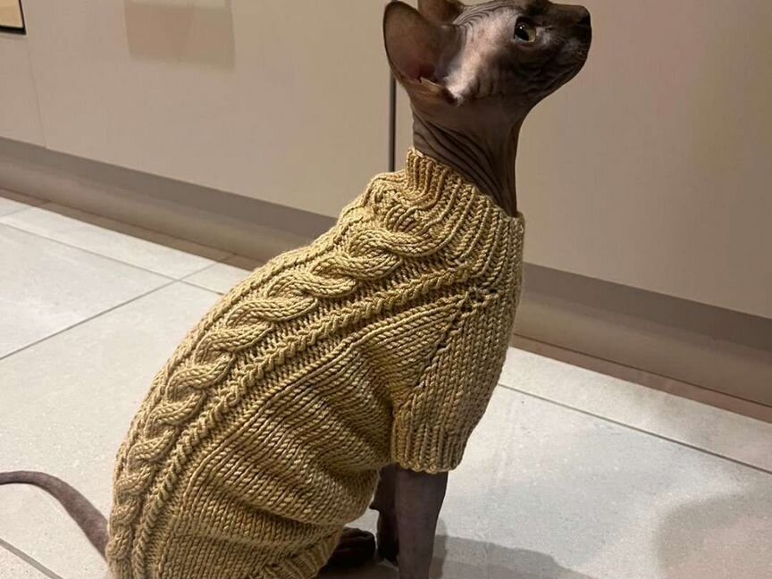 Одежда для сфинкса/кофта/свитер/для кошек/котов