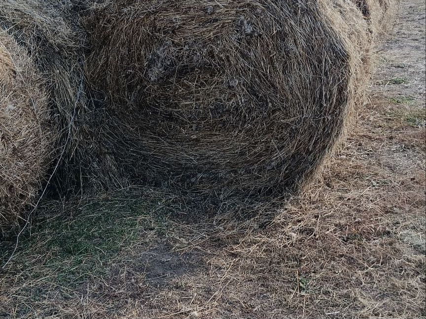 Солома кормовая