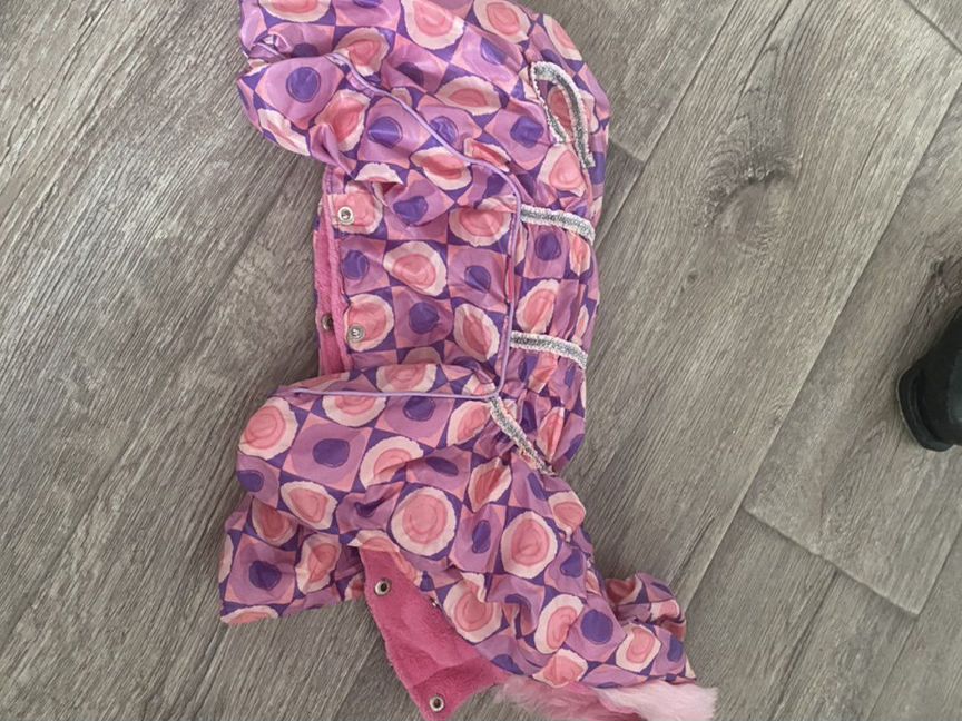 Комбез собаке для прогулок