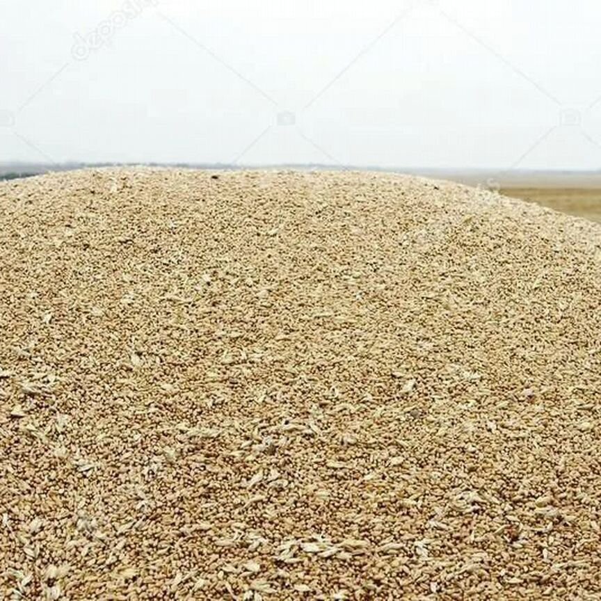 Дробленная пшеница