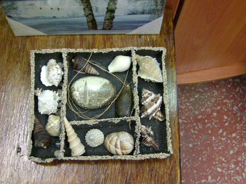 Набор редких ракушек в + старинный камень с фото