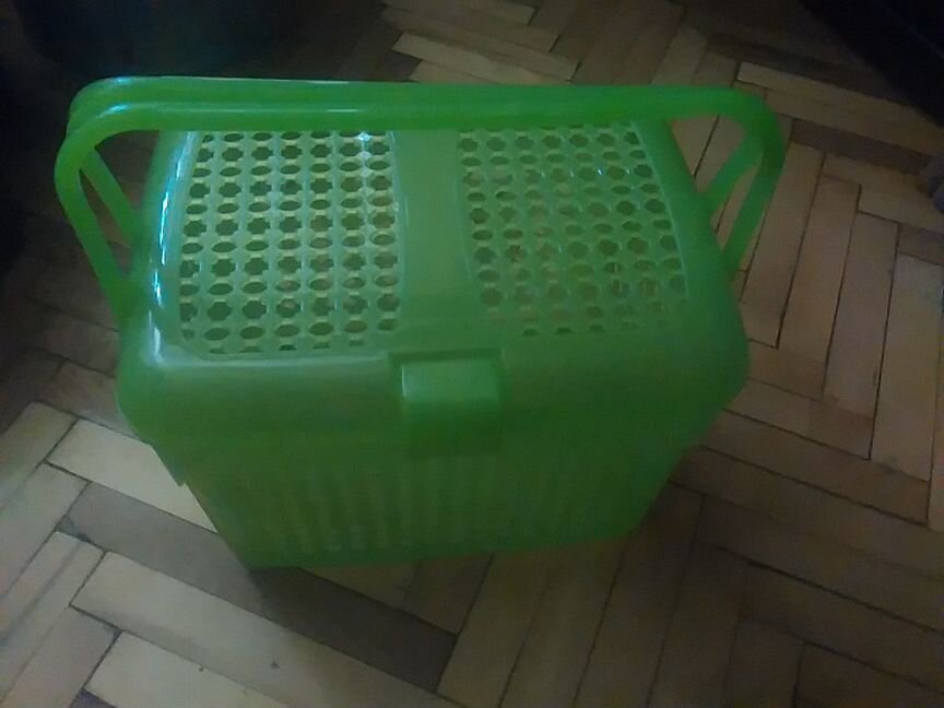 Переноска для котят,поводок,когтеточка