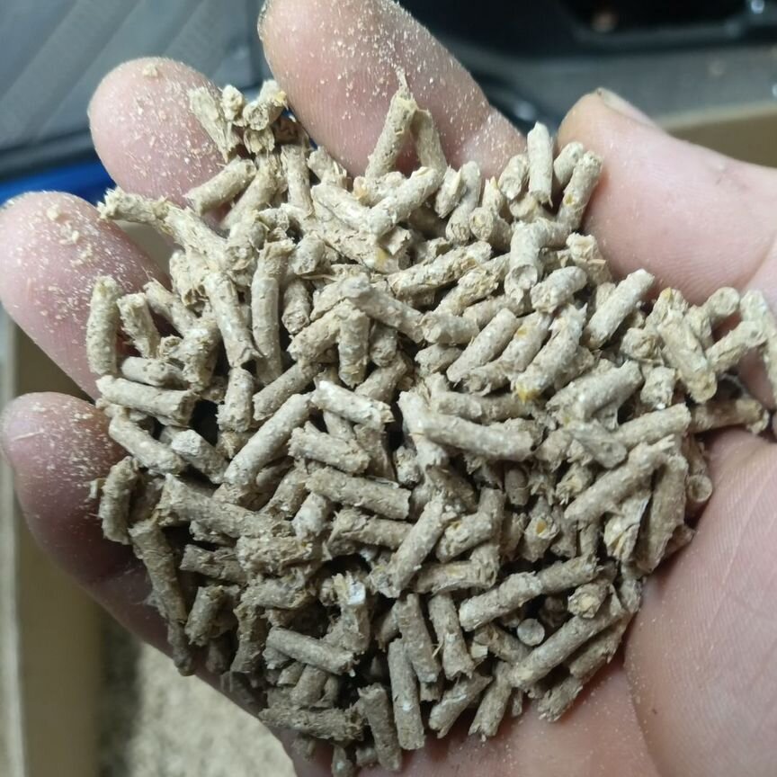 Корма для животных